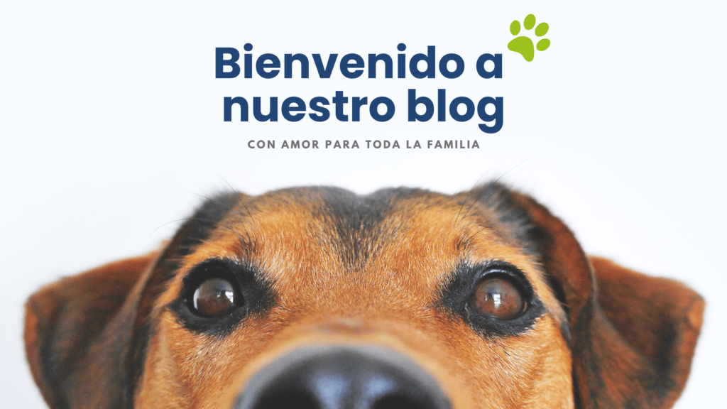Nuestra comunidad - Family Pets